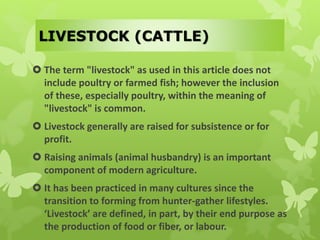 cattle and poultry farming | PPT