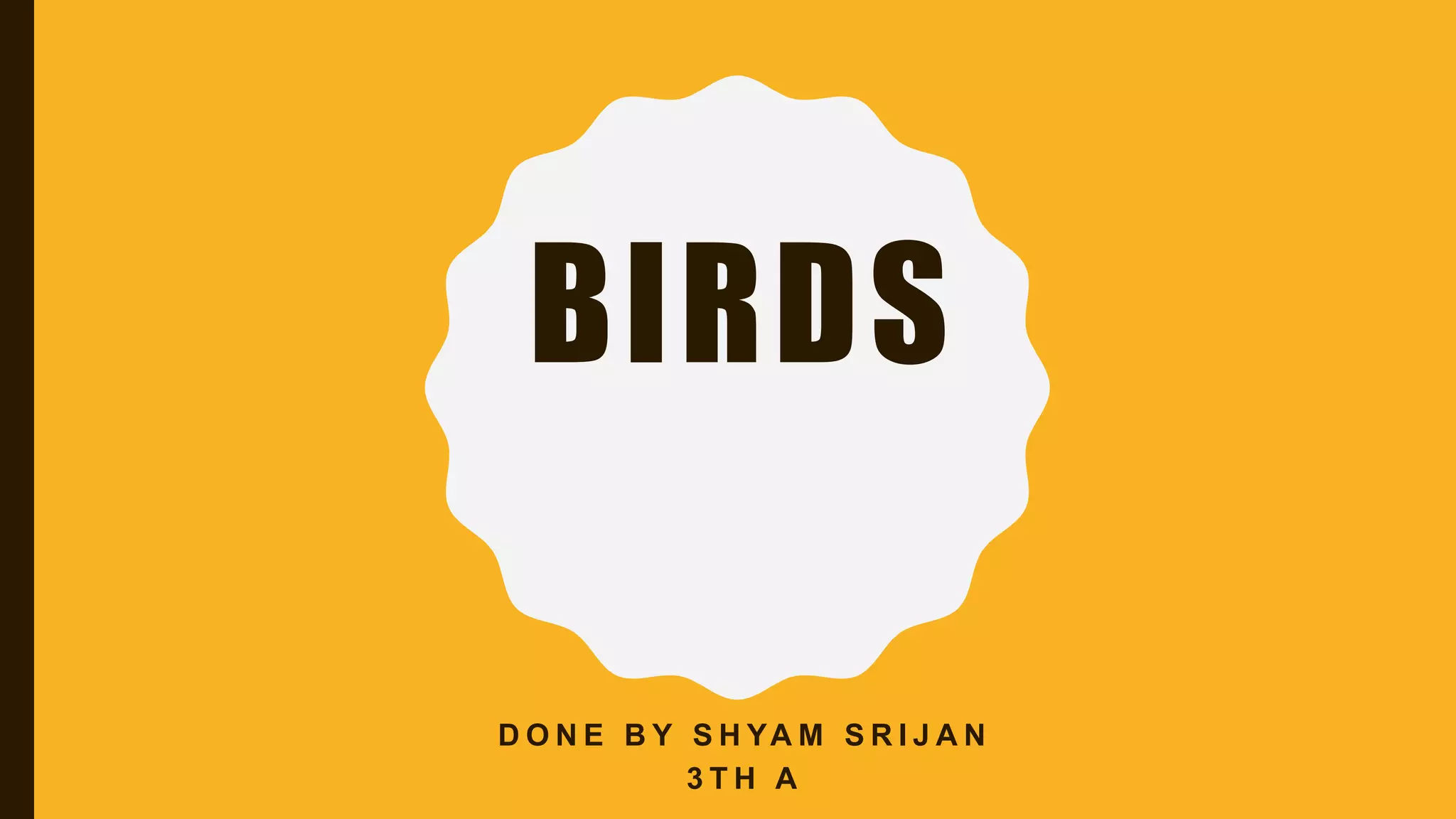 birds ppt | PPT