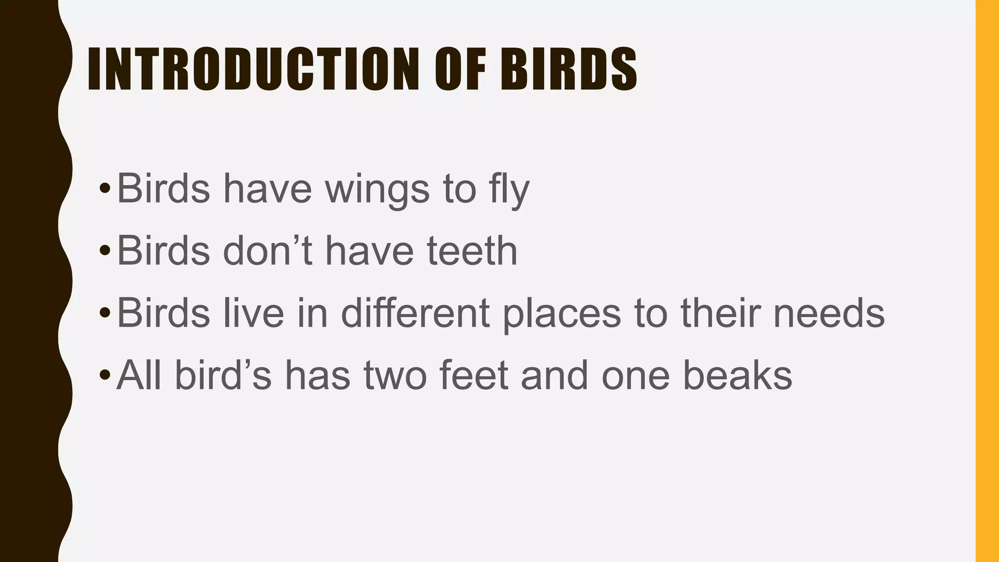 birds ppt | PPT