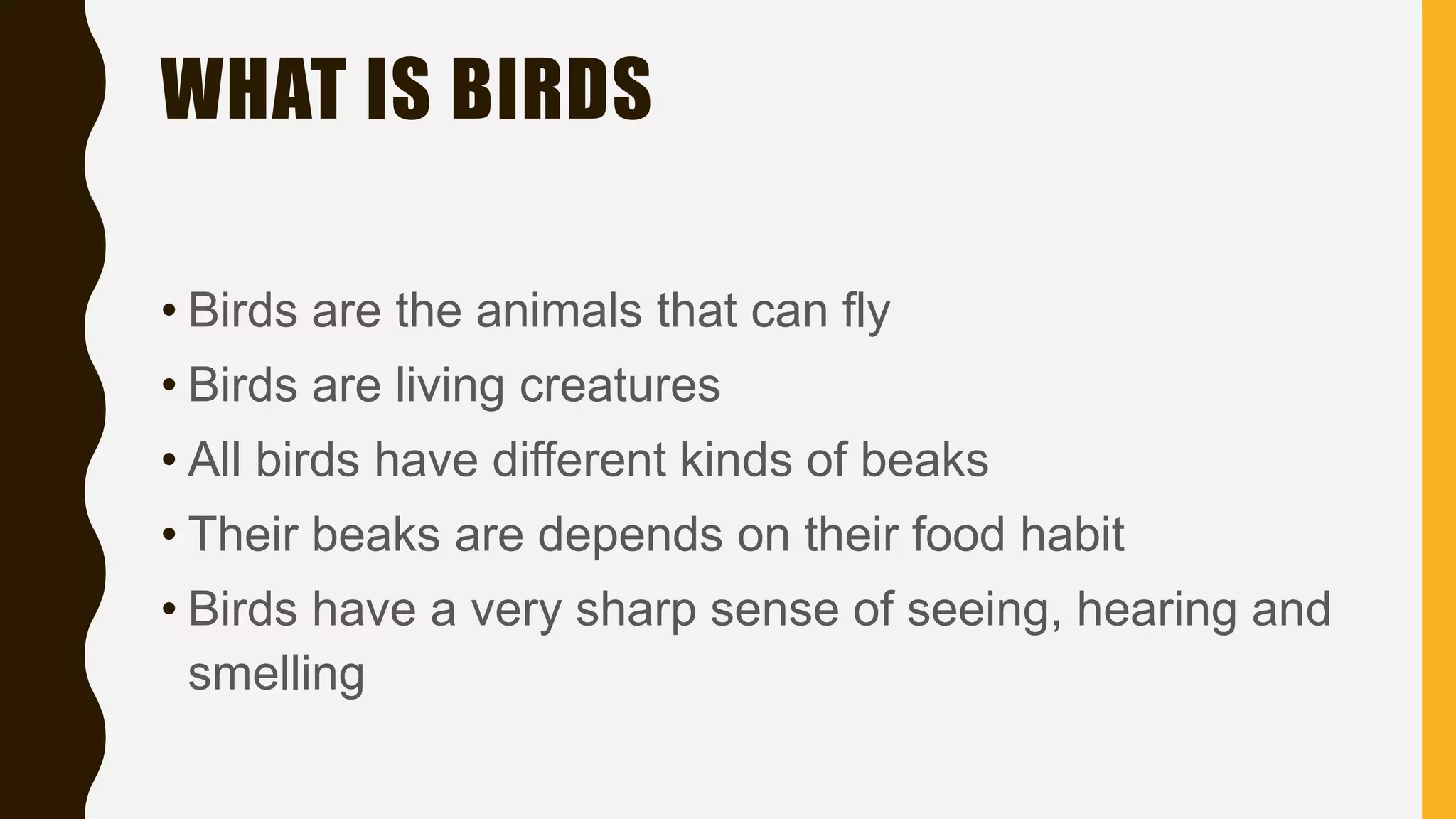birds ppt | PPT