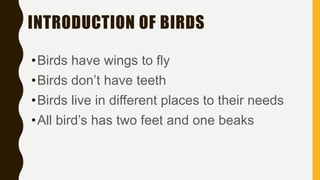 birds ppt | PPT