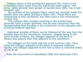 Periodontology Alveolar bone By Hassan Ayyad | PPT