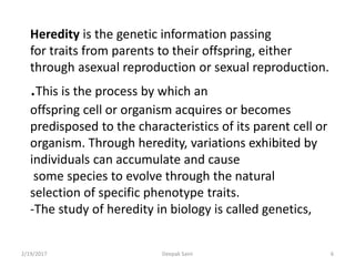 human genetics and population genetics | PPT