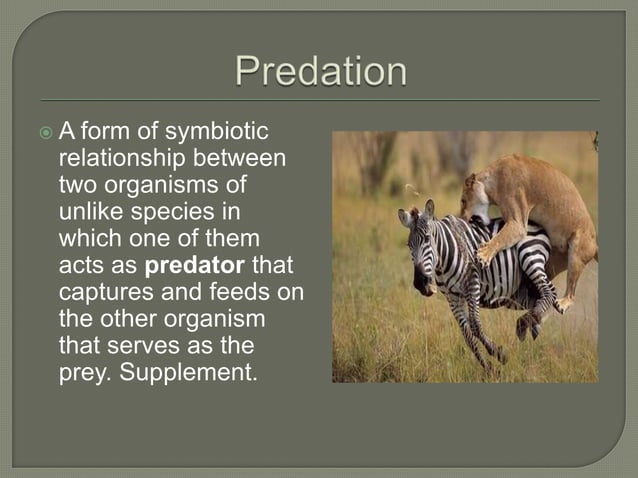 Species Relationship | PPTX