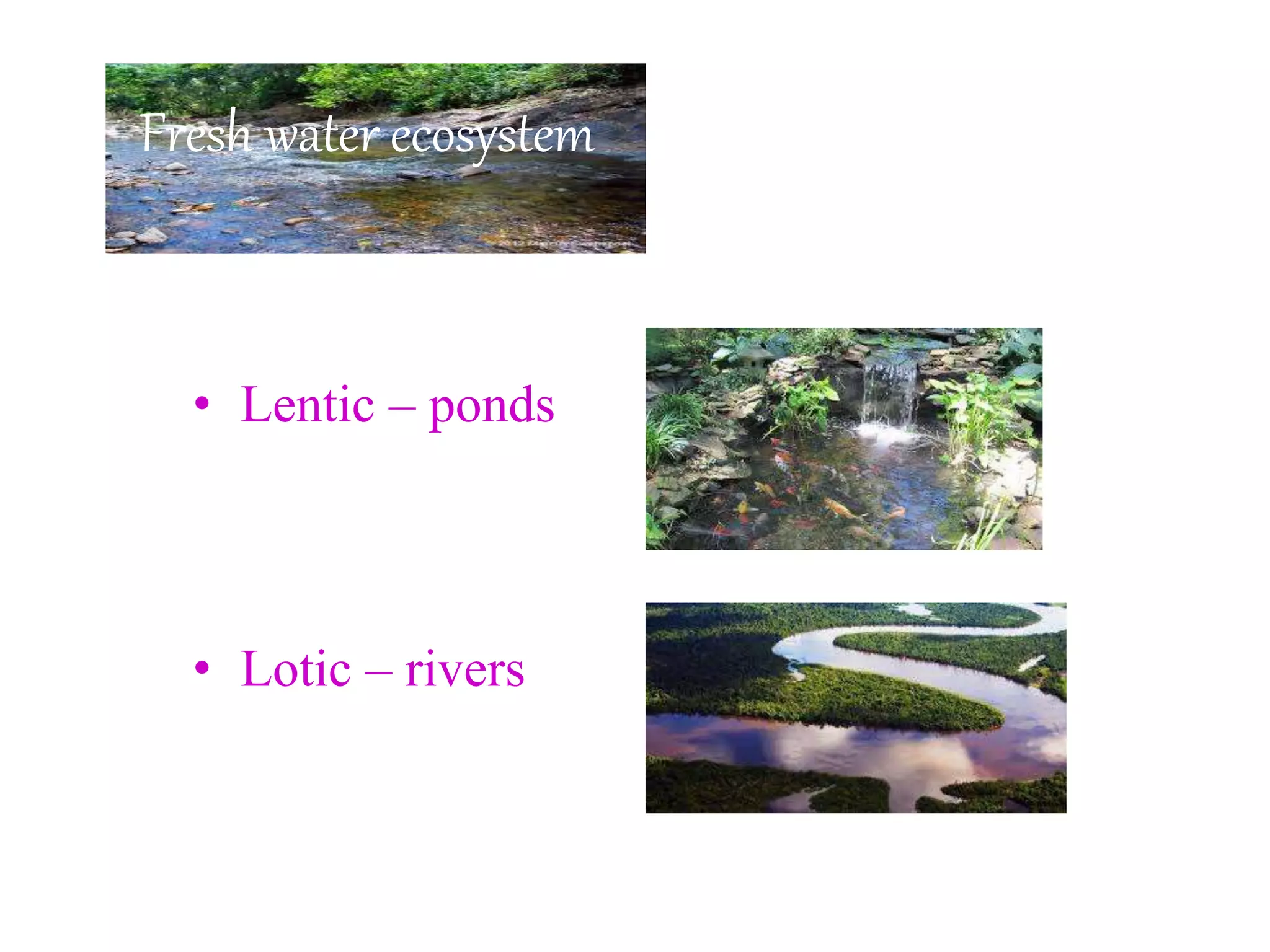 TYPES OF ECOSYSTEM | PPTX