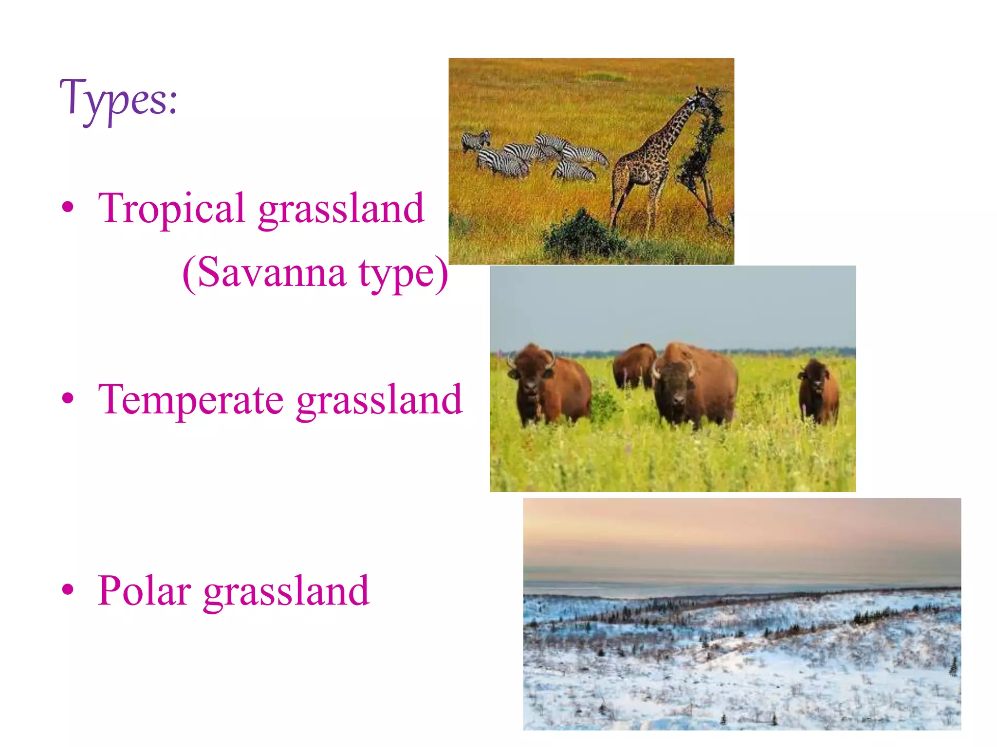 TYPES OF ECOSYSTEM | PPTX