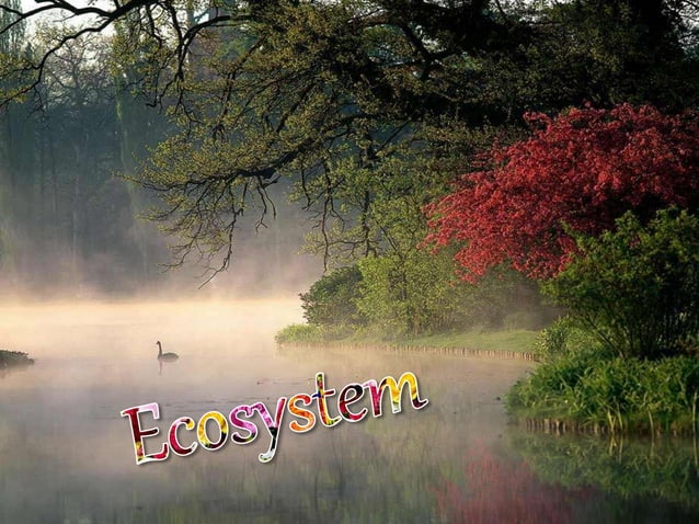 TYPES OF ECOSYSTEM | PPTX