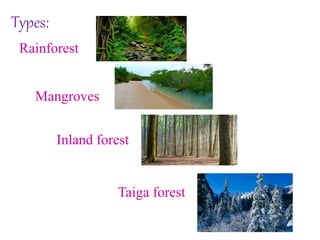 TYPES OF ECOSYSTEM | PPTX