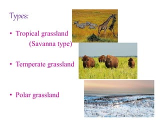 TYPES OF ECOSYSTEM | PPTX