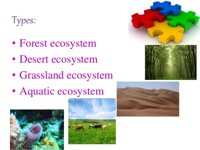TYPES OF ECOSYSTEM