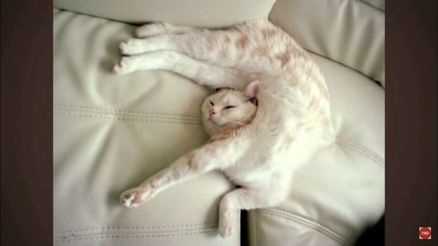 CNN Machine learning DeepLearning | PPT