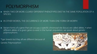 polymorphism | PPTX