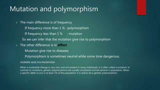 polymorphism | PPTX