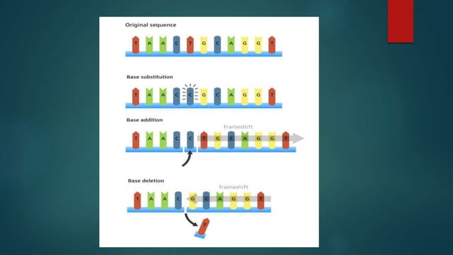 polymorphism | PPTX | Genetics | Science