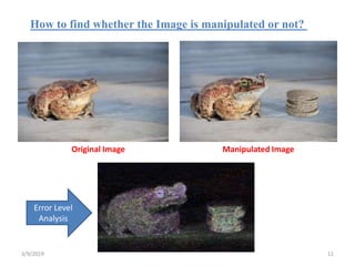 Image processing in forensic science | PPTX