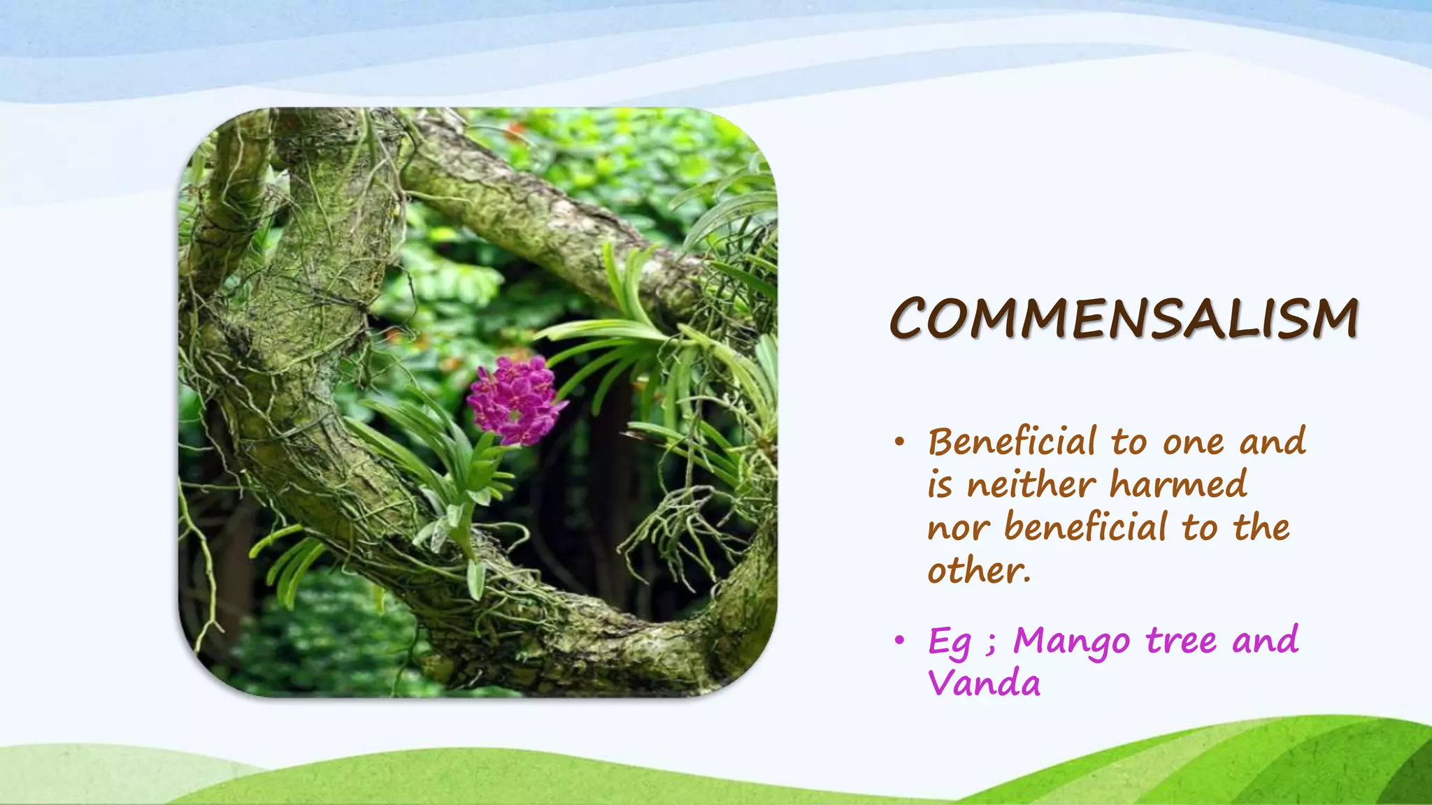ECOLOGICAL INTERACTIONS | PPTX