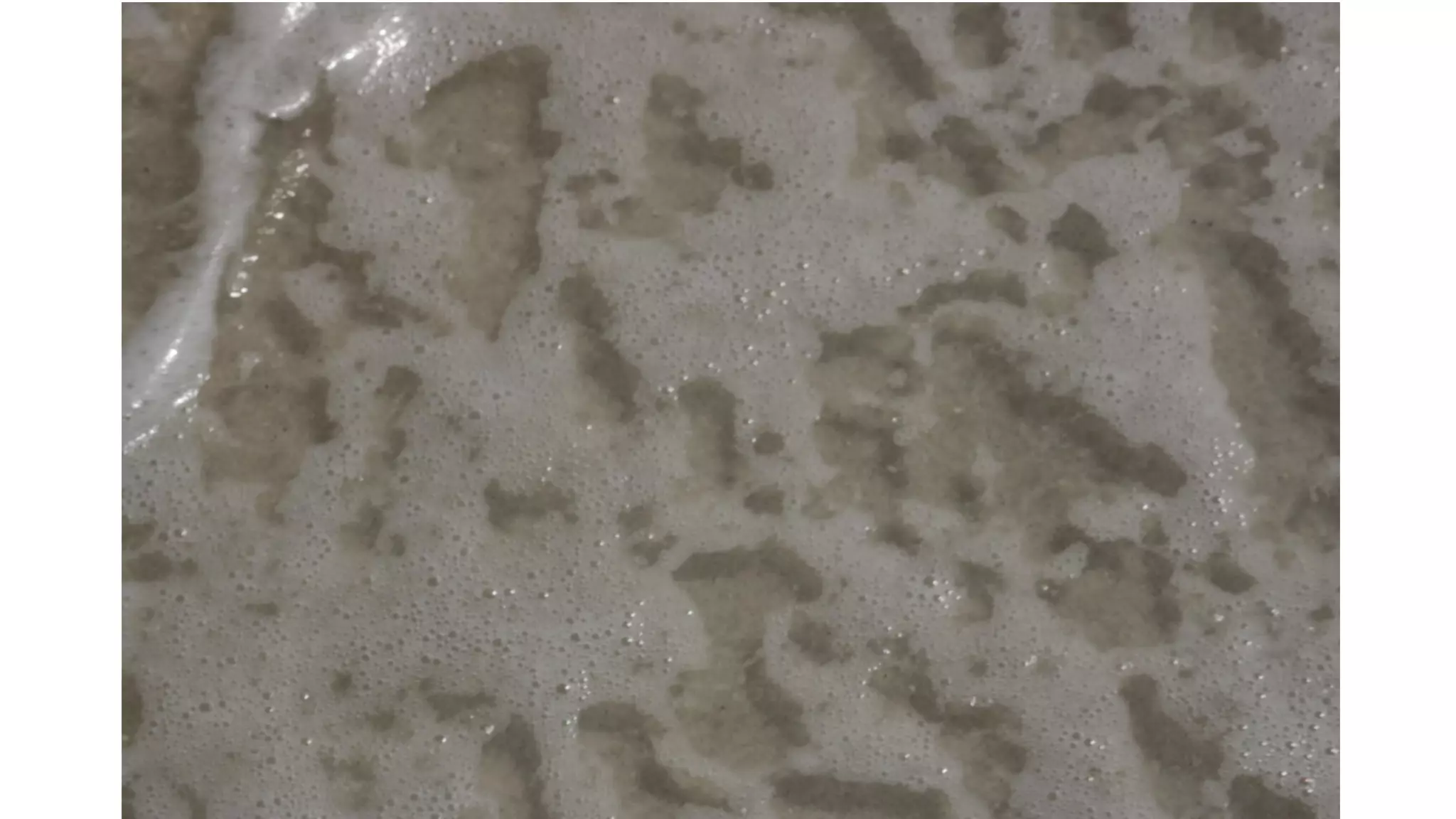 Texture Fields | PPT