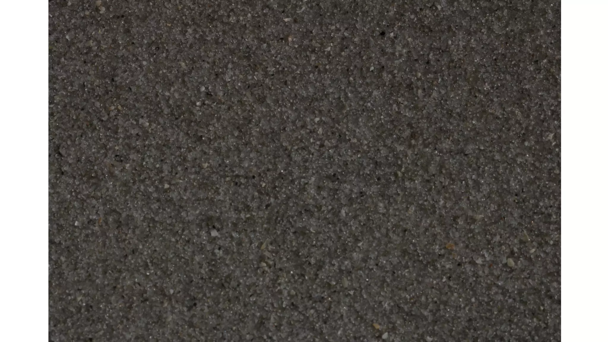 Texture Fields | PPT