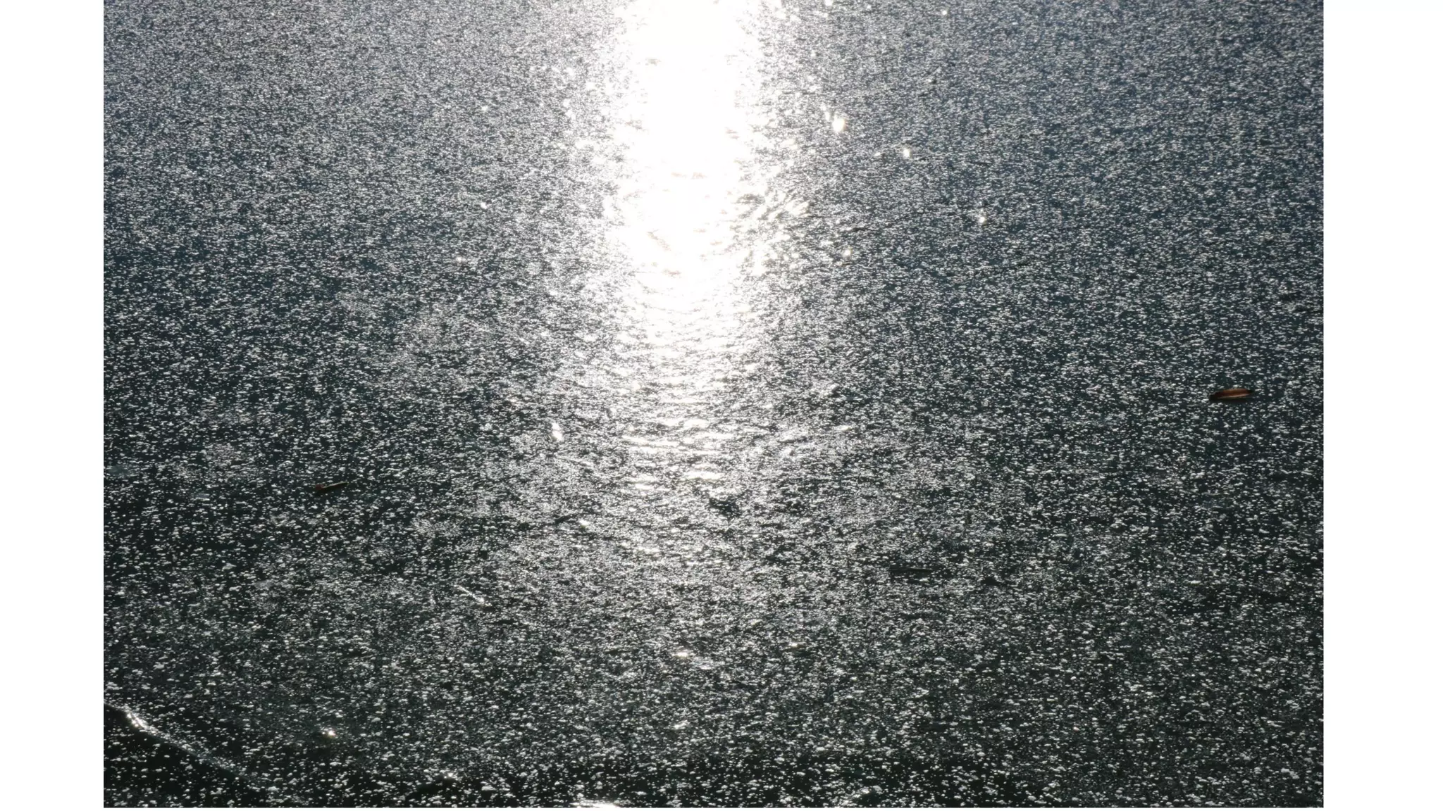 Texture Fields | PPT