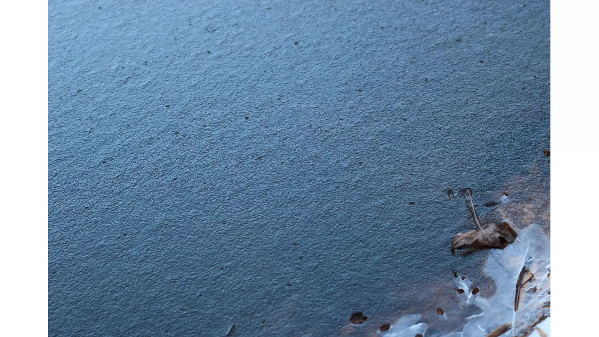 Texture Fields | PPT