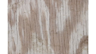 Texture Fields | PPT