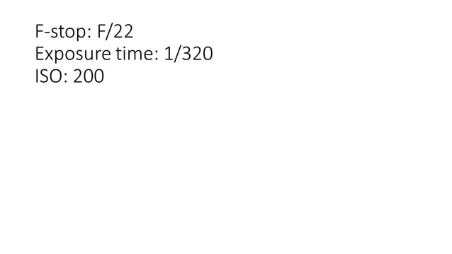 Texture Fields | PPT