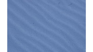 Texture Fields | PPT