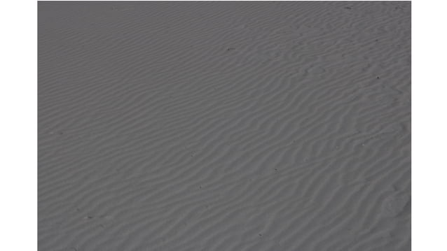 Texture Fields | PPT