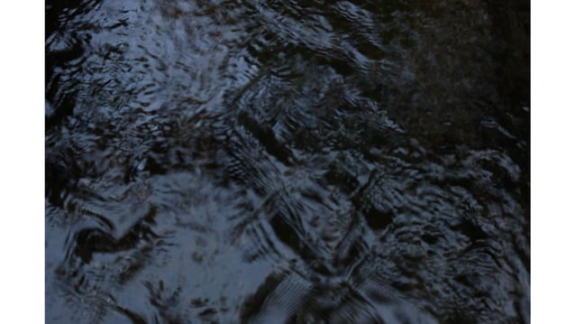 Texture Fields | PPT