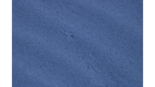 Texture Fields | PPT