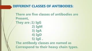 Antibodies [Immunoglobulins] | PPTX