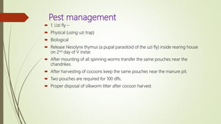 Presentation of sericulture | PPTX