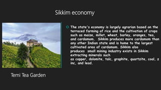 presentation on sikkim and culture for class 9 | PPTX