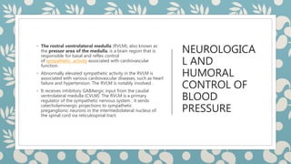 Pathophysiology of Hypertension | PPT