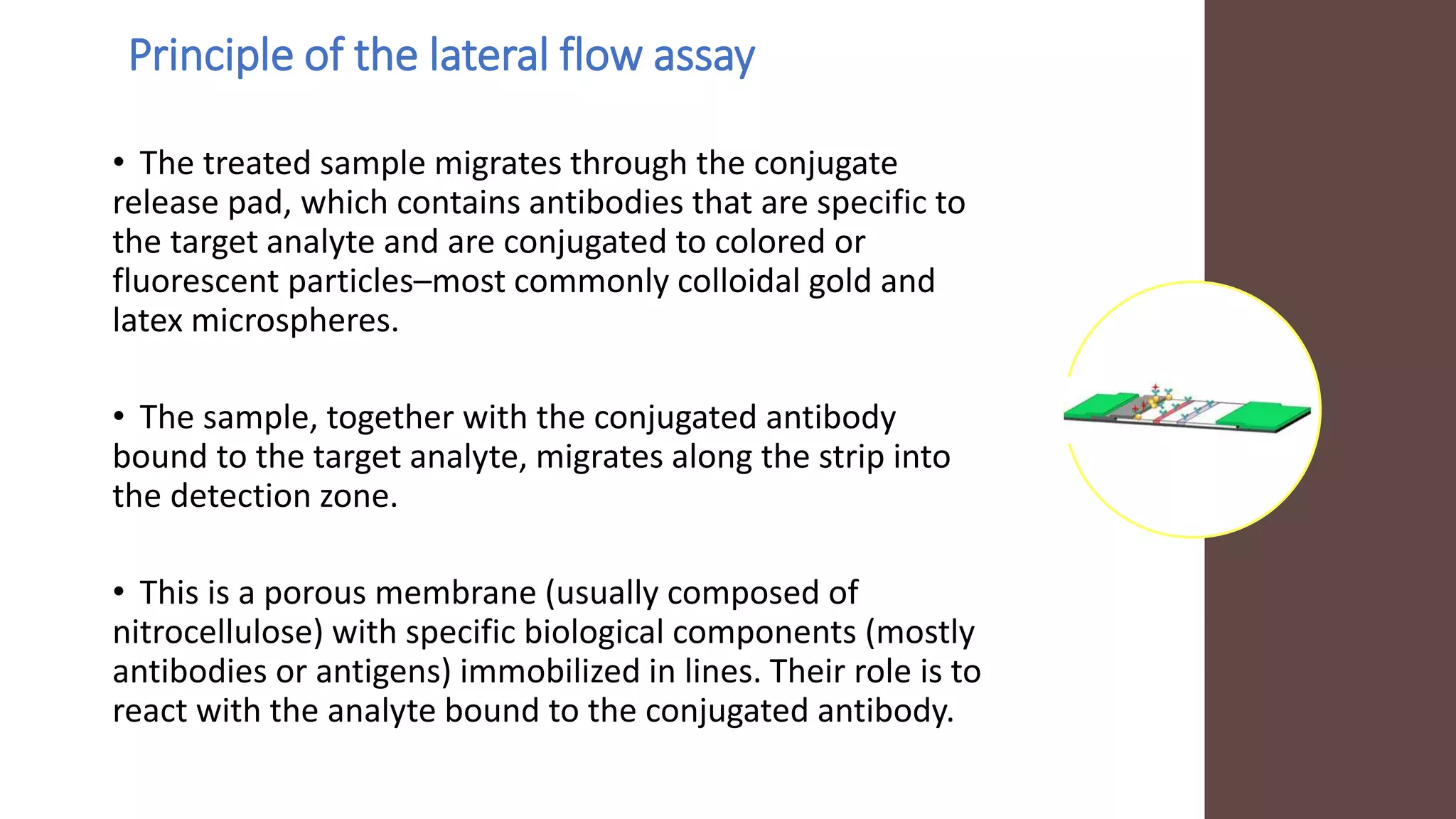 Lateral Flow Assay LSA | PPTX