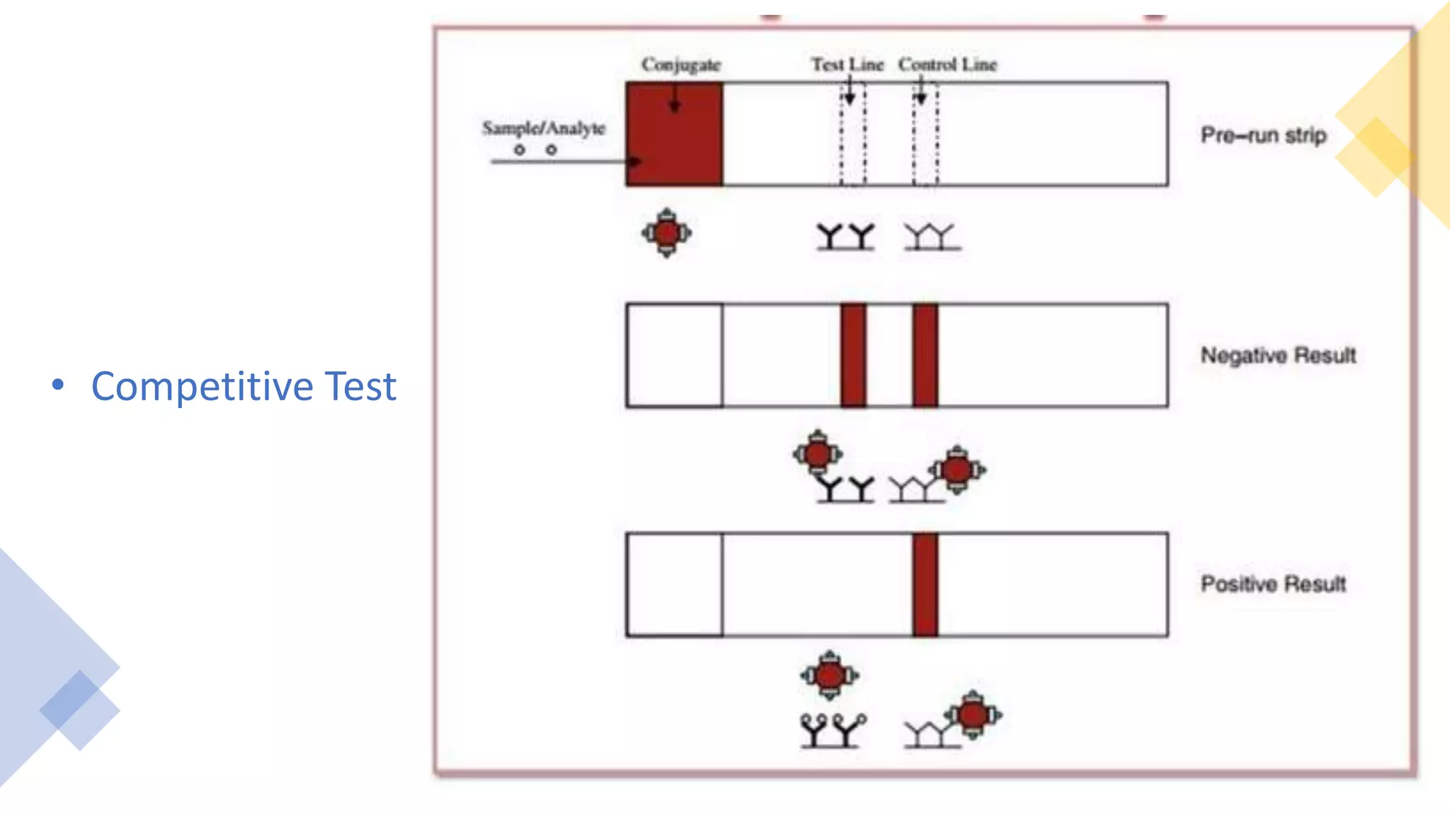Lateral Flow Assay LSA | PPTX