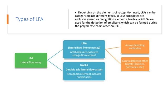 Lateral Flow Assay LSA | PPTX