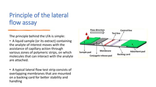 Lateral Flow Assay LSA | PPTX