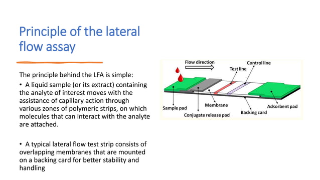 Lateral Flow Assay LSA | PPTX