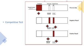 Lateral Flow Assay LSA | PPTX