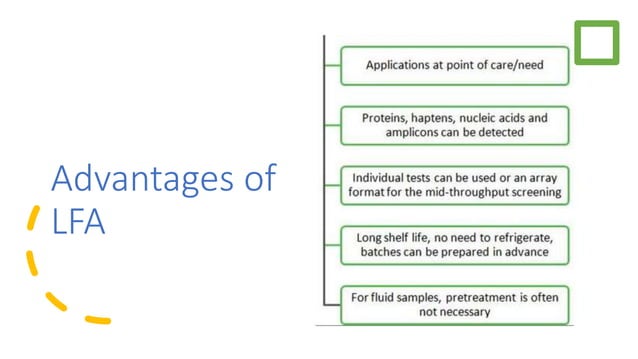 Lateral Flow Assay LSA | PPTX