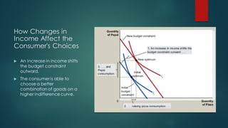Effects on income changes of Consumer choices | PDF