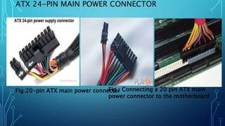 Presentation (1) (1).pptx