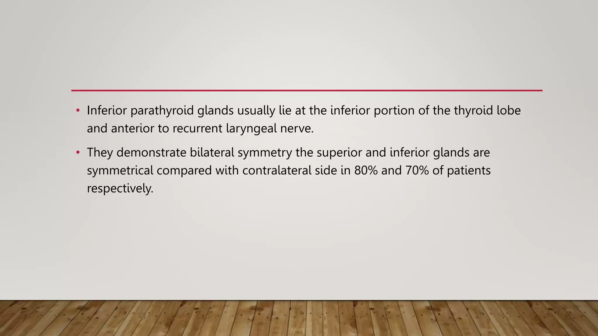 Anatomy of parathyroid gland | PPTX