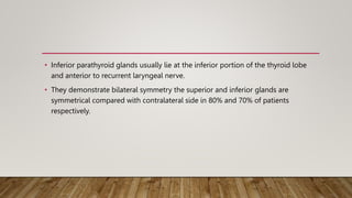 Anatomy of parathyroid gland | PPTX