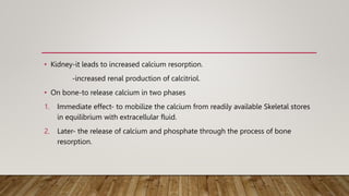 Anatomy of parathyroid gland | PPTX