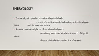 Anatomy of parathyroid gland | PPTX