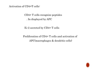 Presentation (1) (1).pptx