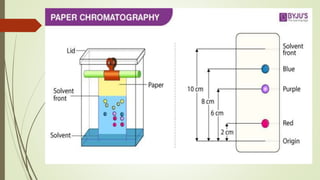 Presentation 11.pptx | Chemistry | Science