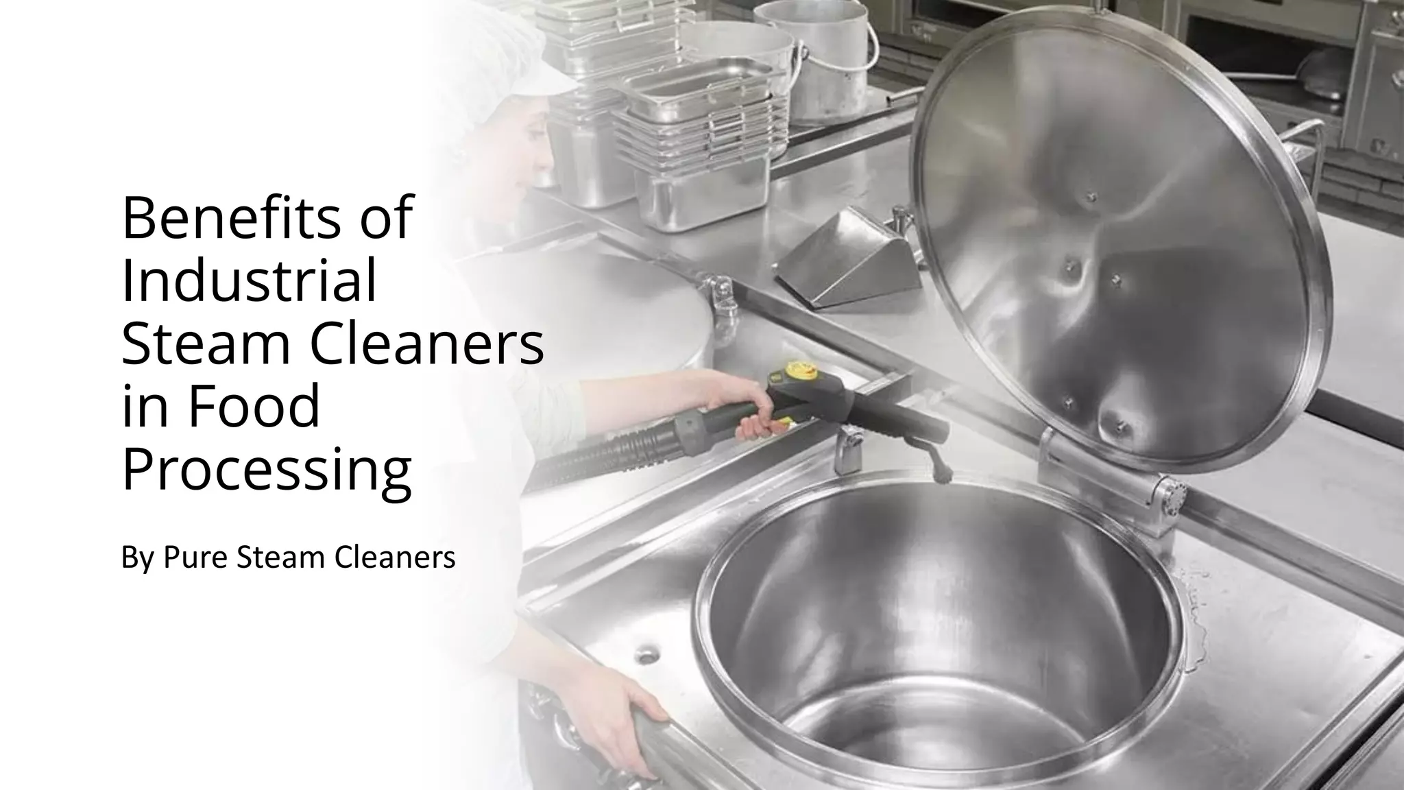 Benefits of Industrial Steam Cleaners in Food Processing | PDF